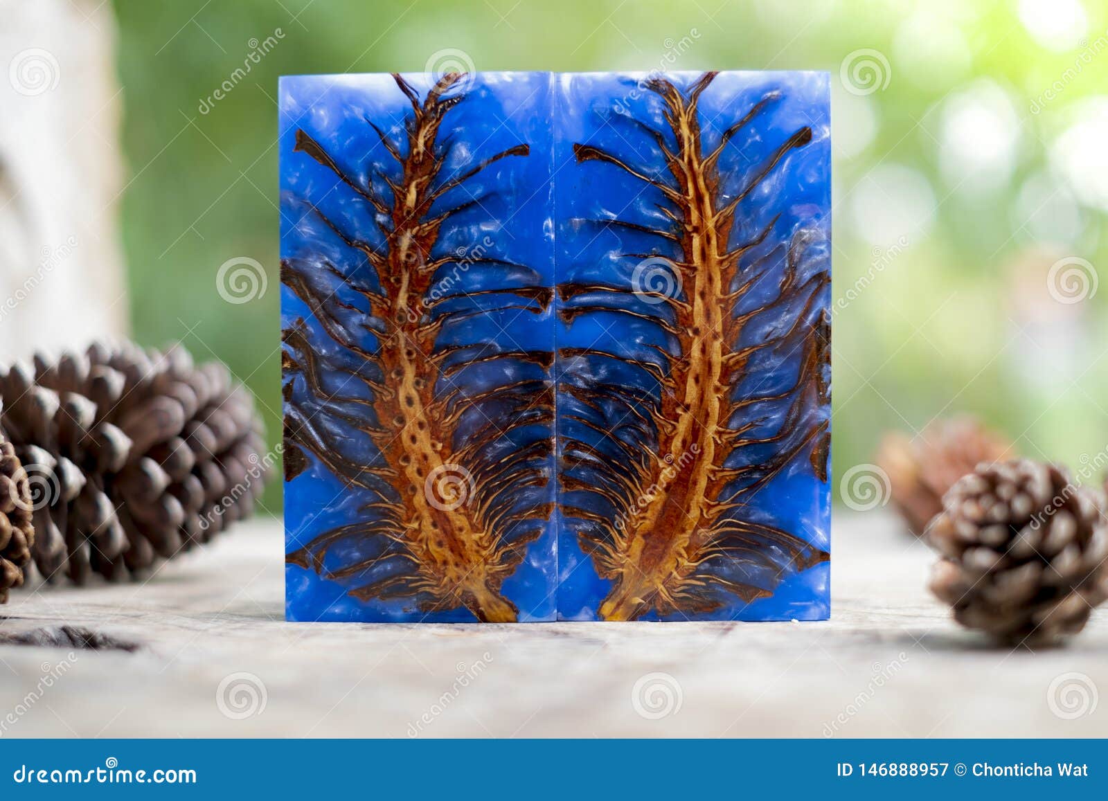 Casting Epoxy Resin Stabilizing Pine Cone Stock Image - Image of craft ...