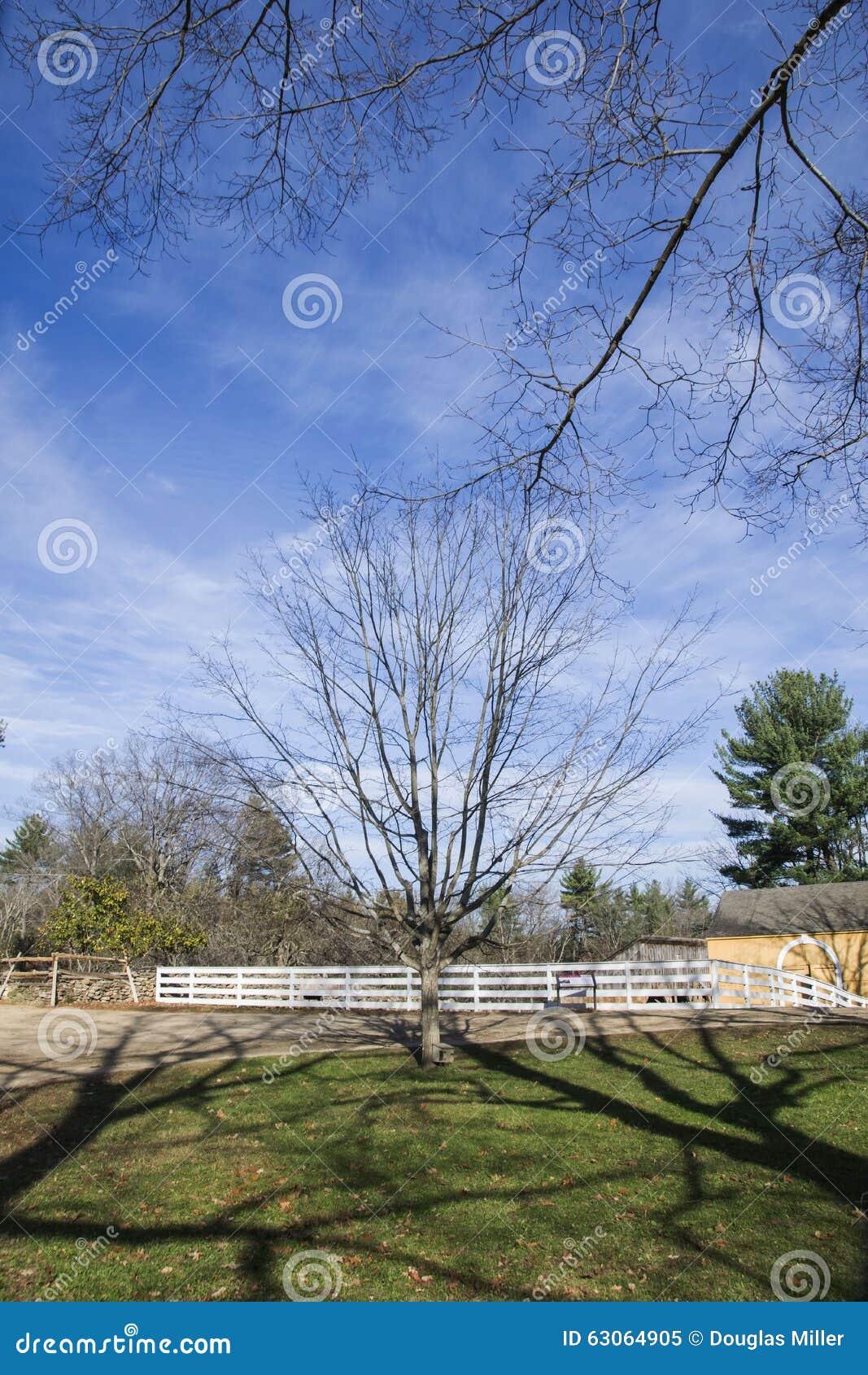 Casting shadows stock image. Image of plkants, clouds - 63064905
