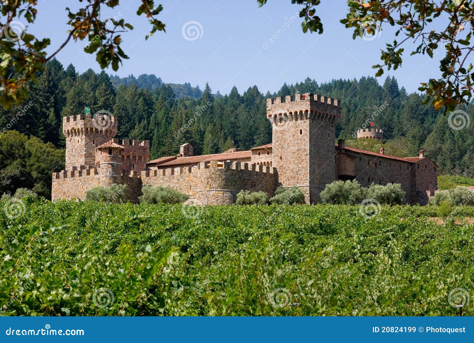 Castle stock image. Image of making, house, botany, romantic - 20824199