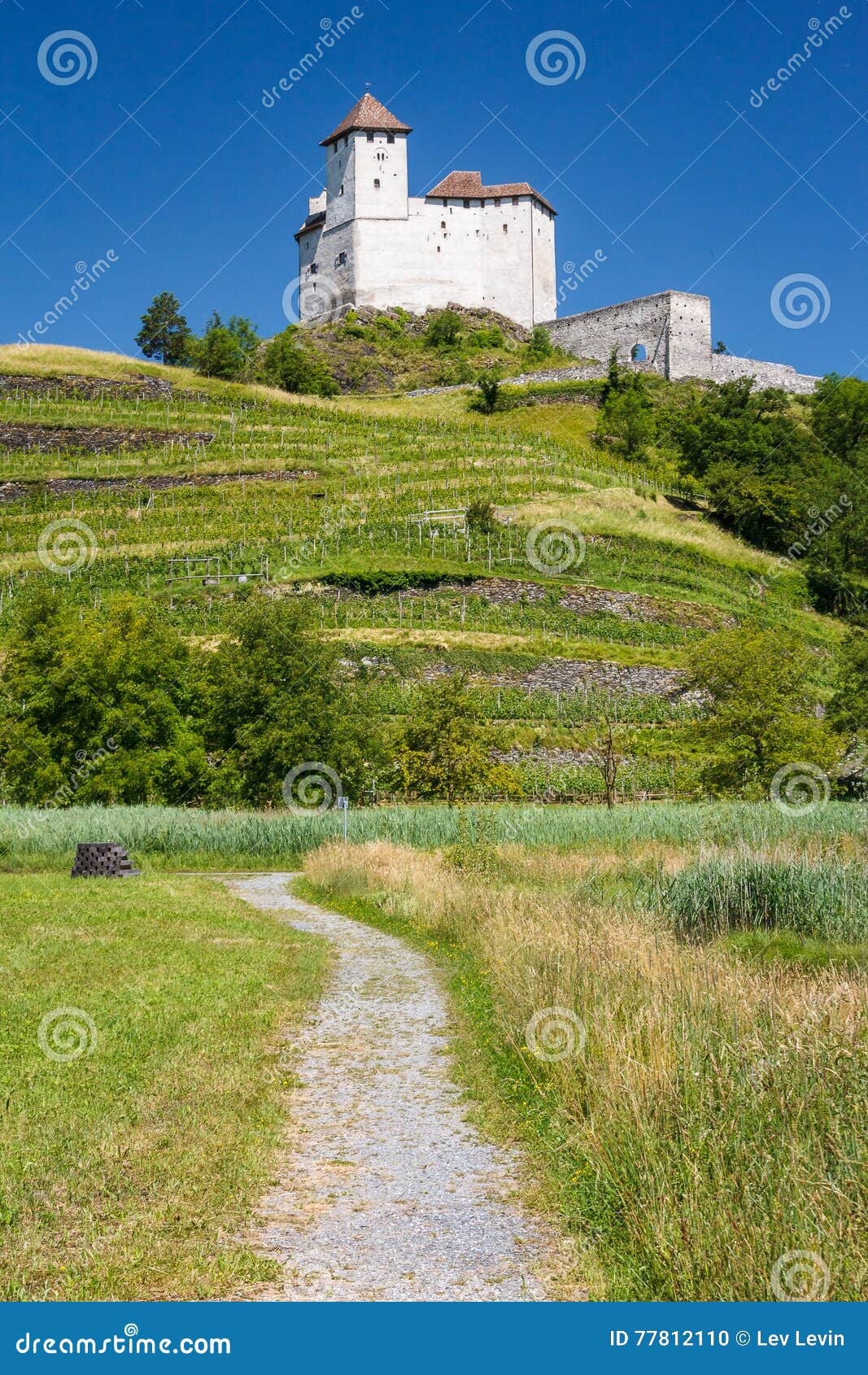 Castle of Balzers stock photo. Image of middle, small - 77812110