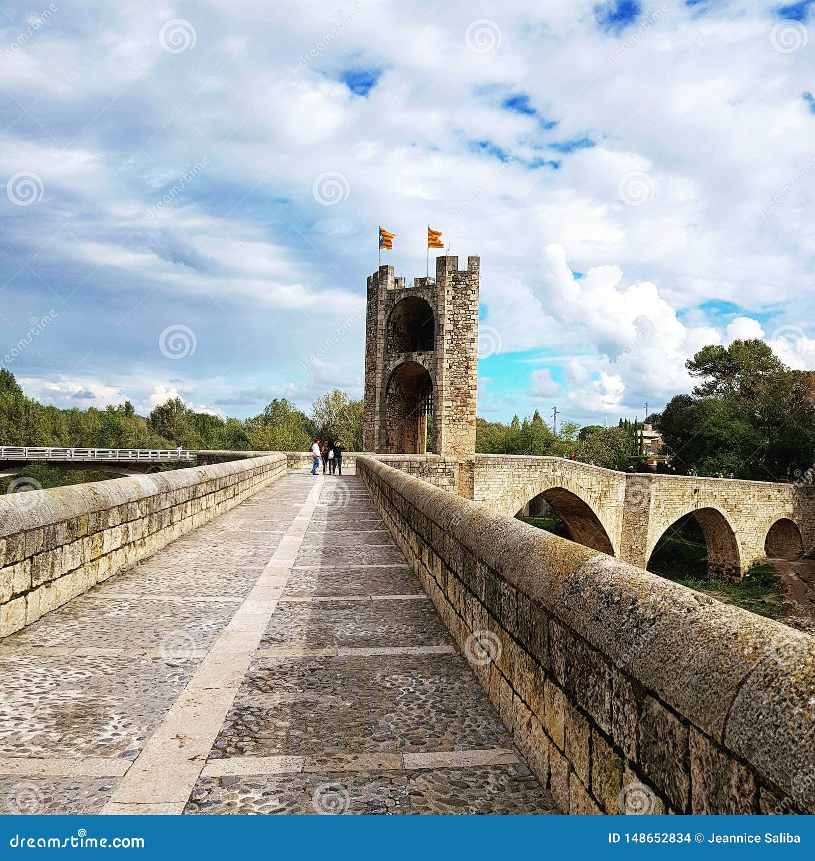 Castle, Bridge And Gate Editorial Image | CartoonDealer.com #138528722