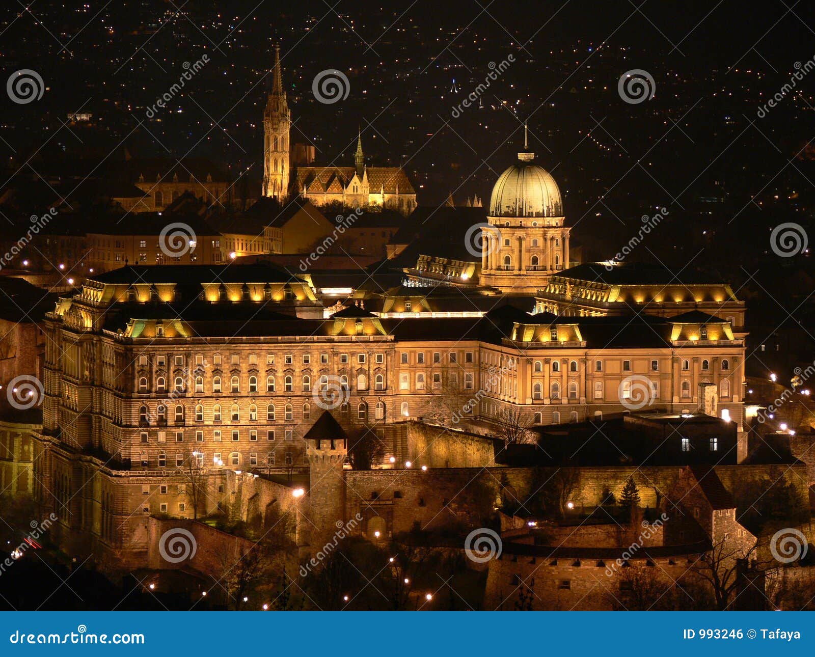 Castle Buda stock photo. Image of buda, corvinus, danube - 993246