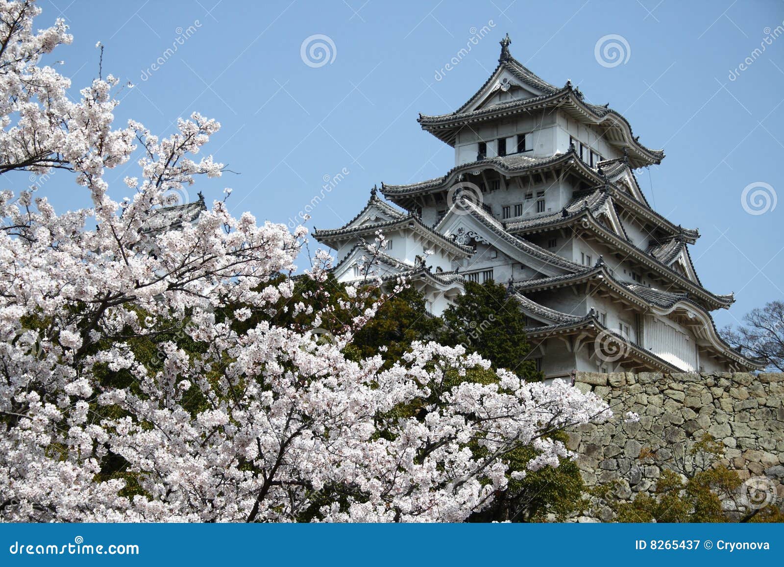 Castle among Cherry Blossoms Stock Image - Image of japan, himeji: 8265437