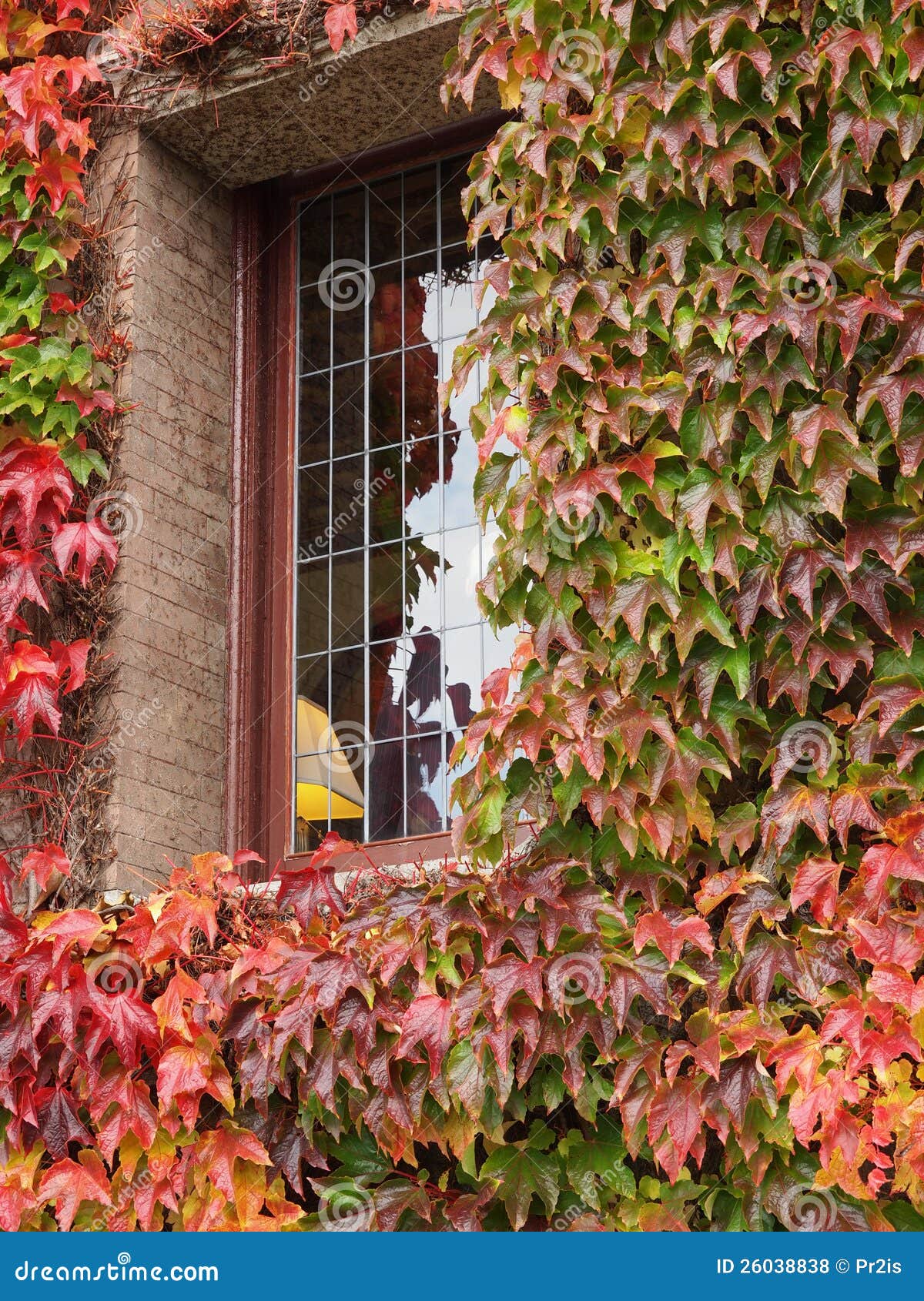 Castle Covered with English Ivy Stock Photo - Image of building, tower ...