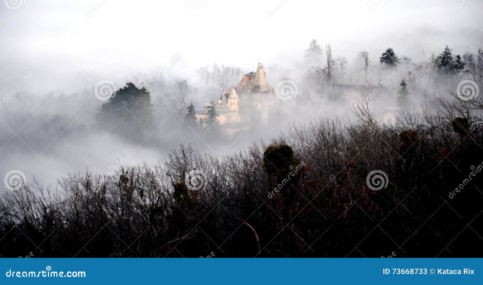 Castle in the fog stock image. Image of medieval, horizon - 73668733
