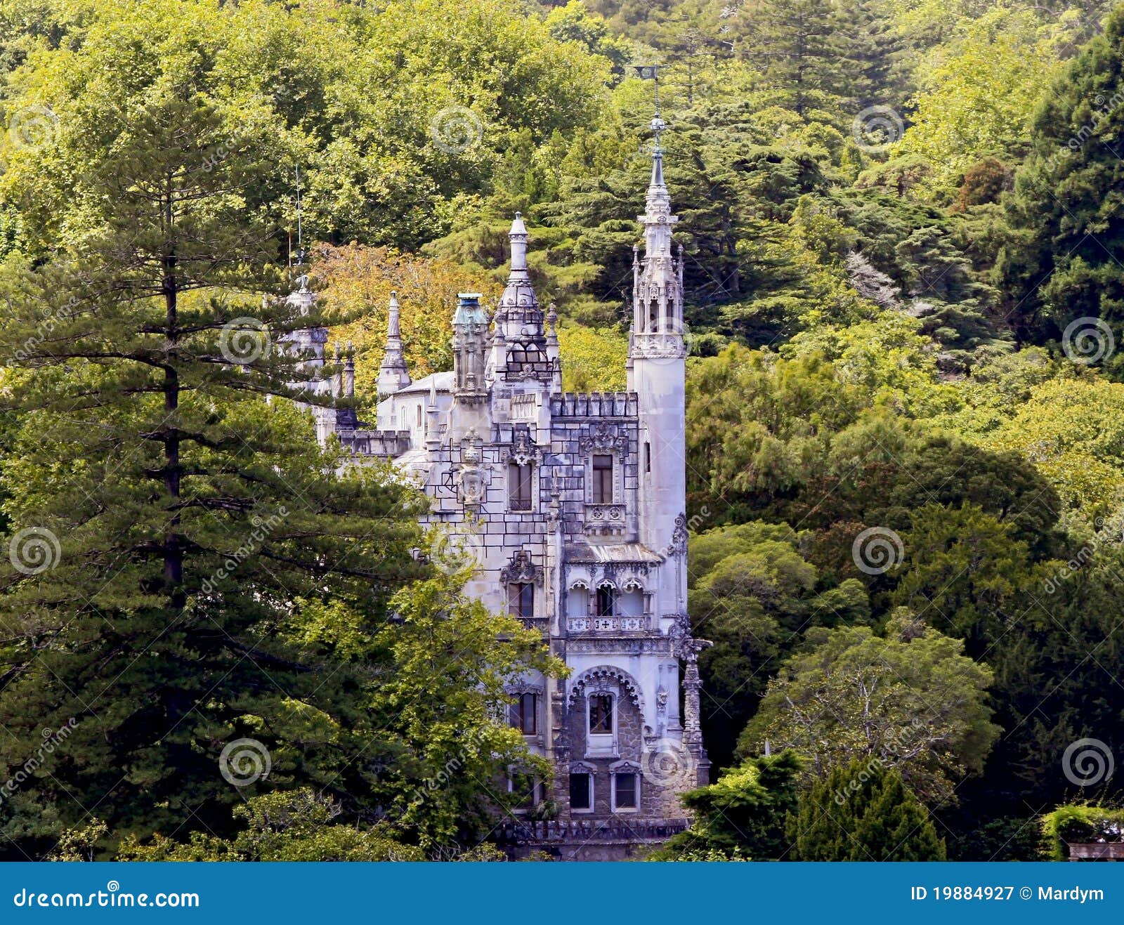 Castle in a forest stock image. Image of flag, flagstaff - 19884927