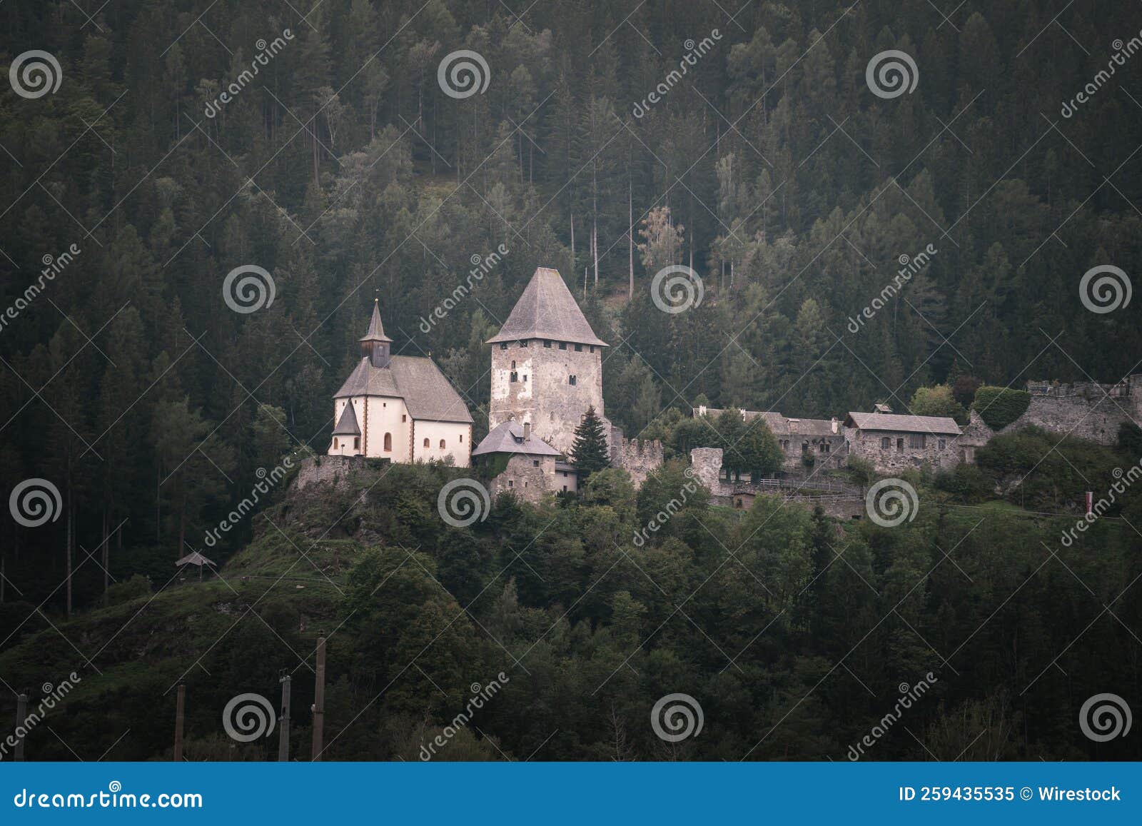 Castle in the Forest Surrounded by Green, Dense Vegetation Stock Image ...