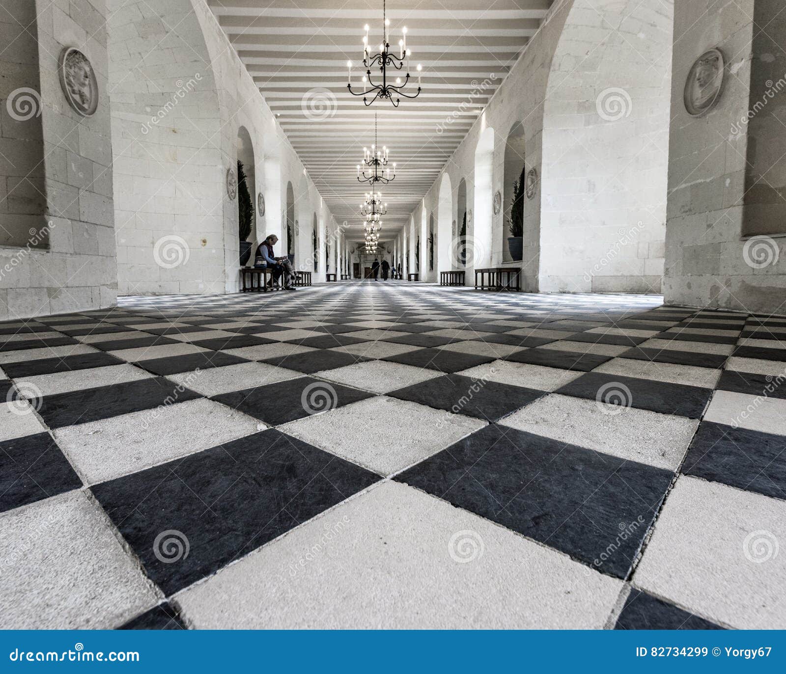 In the castle gallery editorial stock image. Image of chateau - 82734299