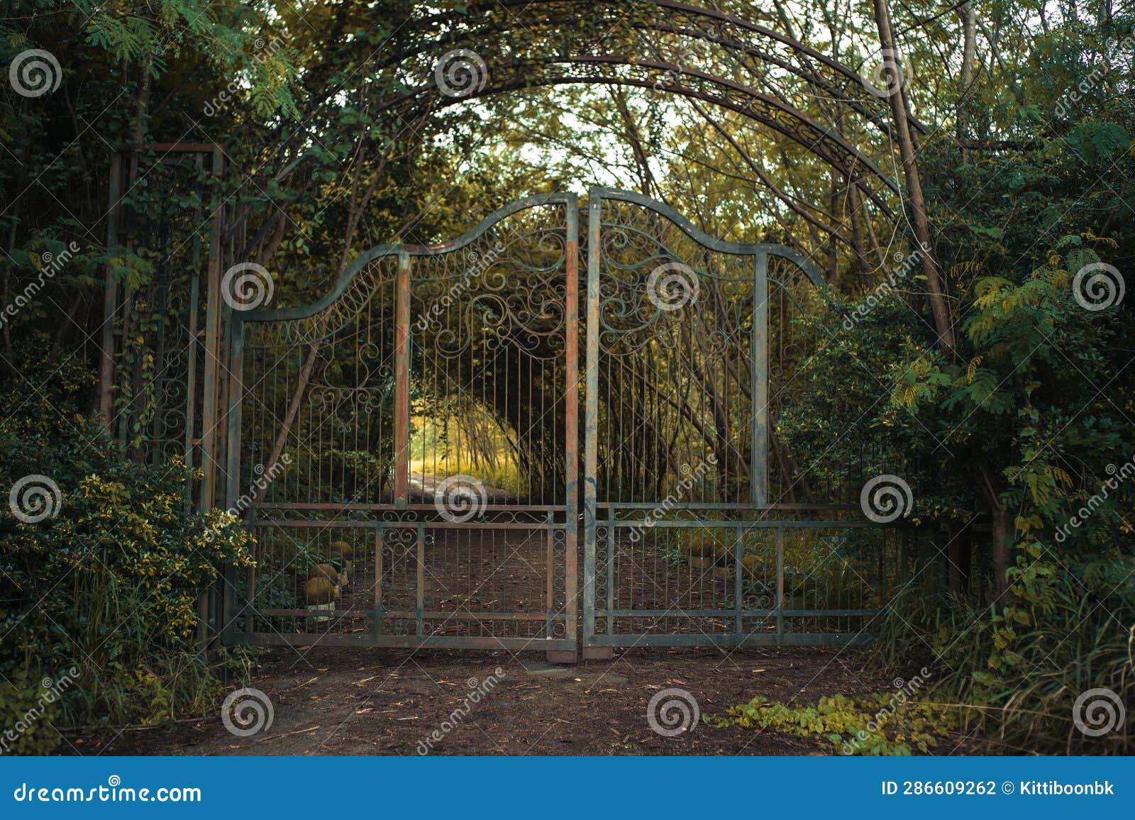 The Castle Gate Amidst the Forest. Stock Photo - Image of backyard ...