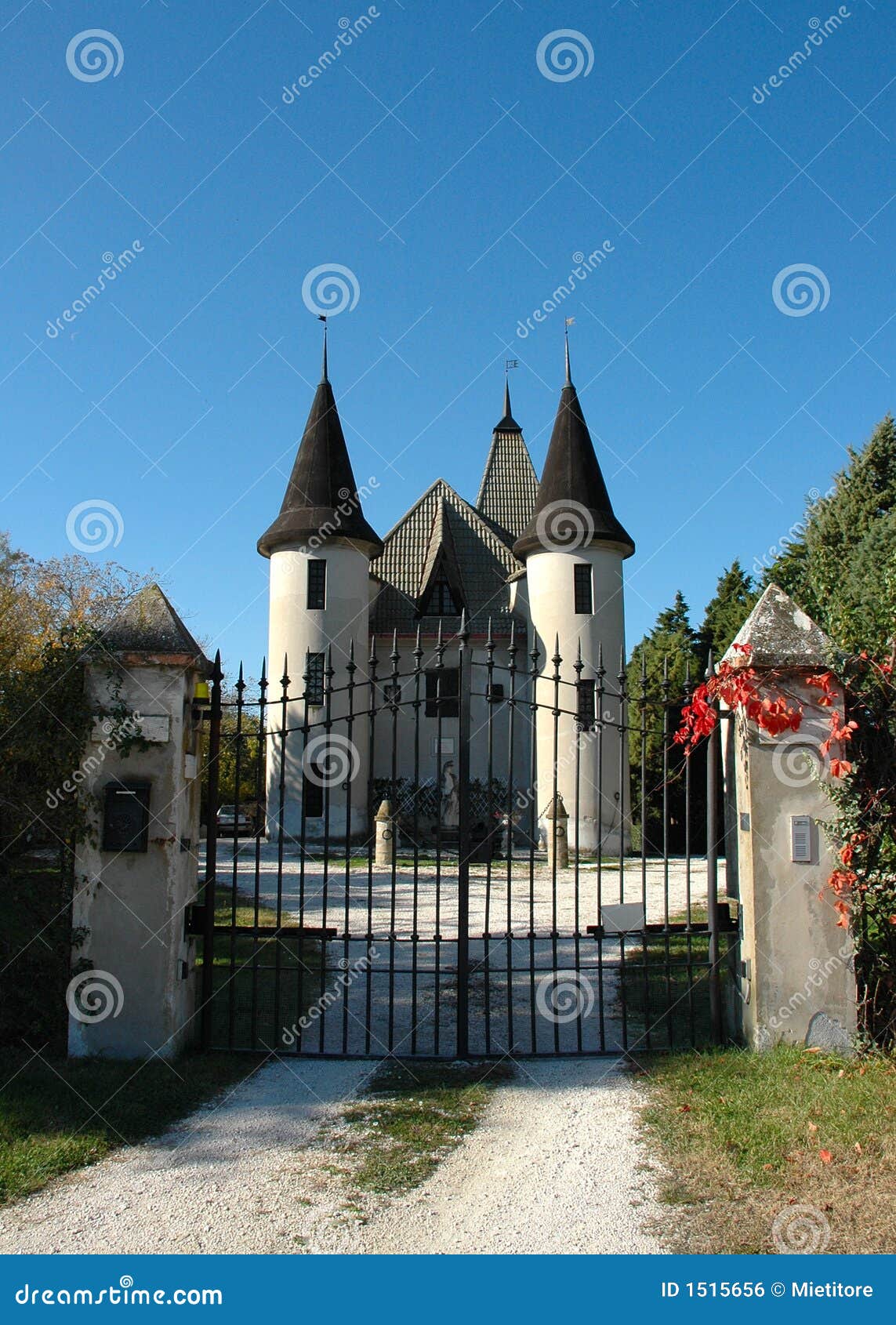 Castle gate - Italy stock photo. Image of italy, private - 1515656