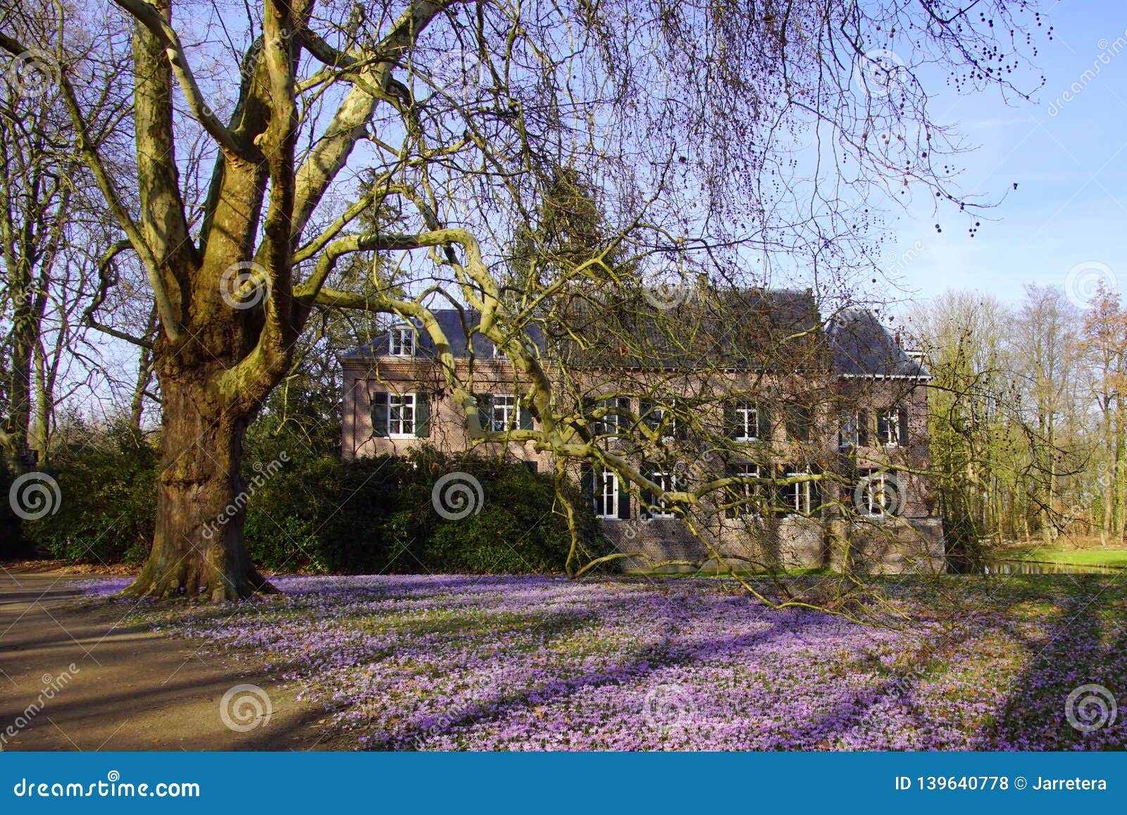 A Castle In Geldrop Noord-Brabant Holland Look Through A Tree Stock ...