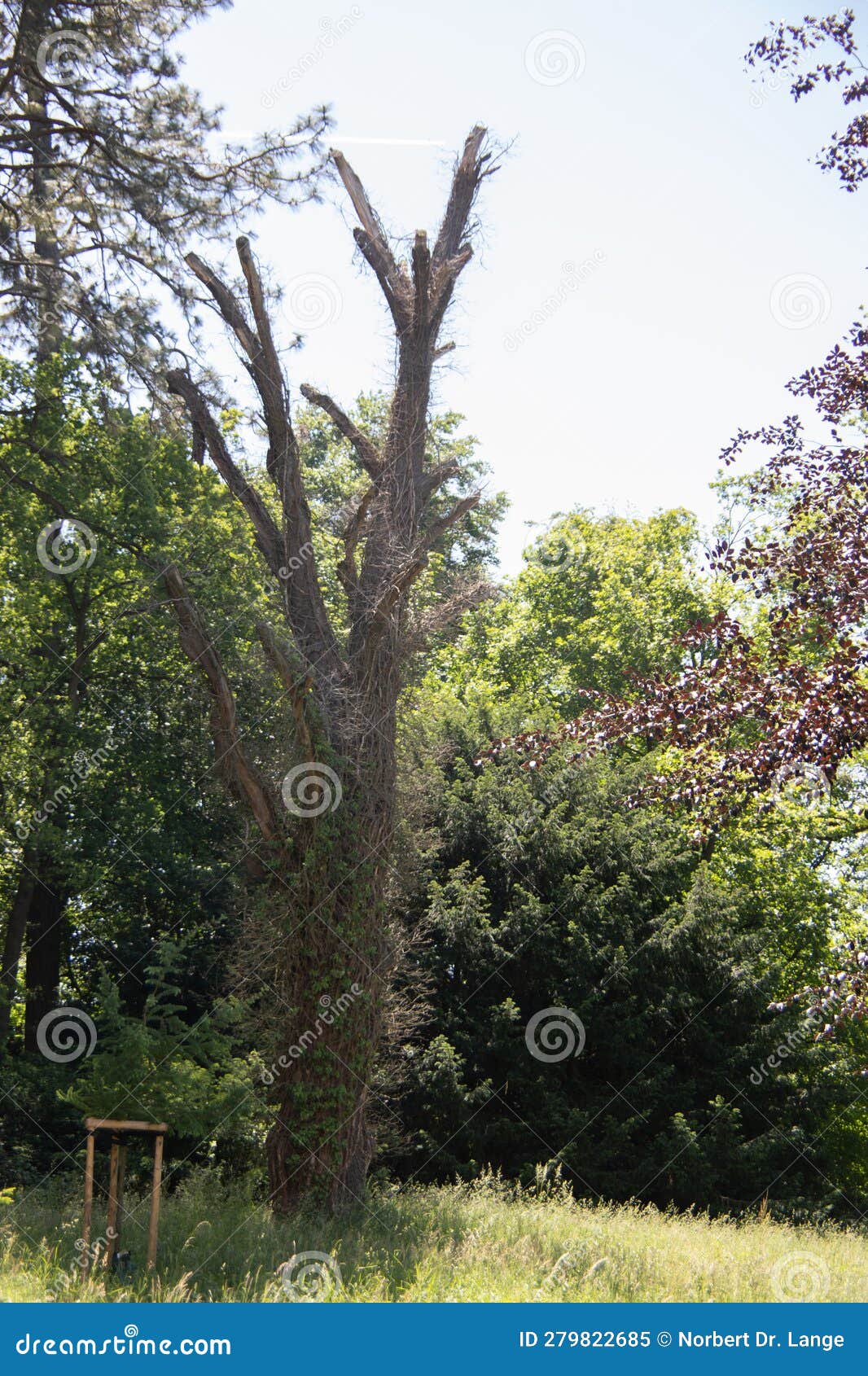 Castle Gracht stock image. Image of impressive, battlements - 279822685