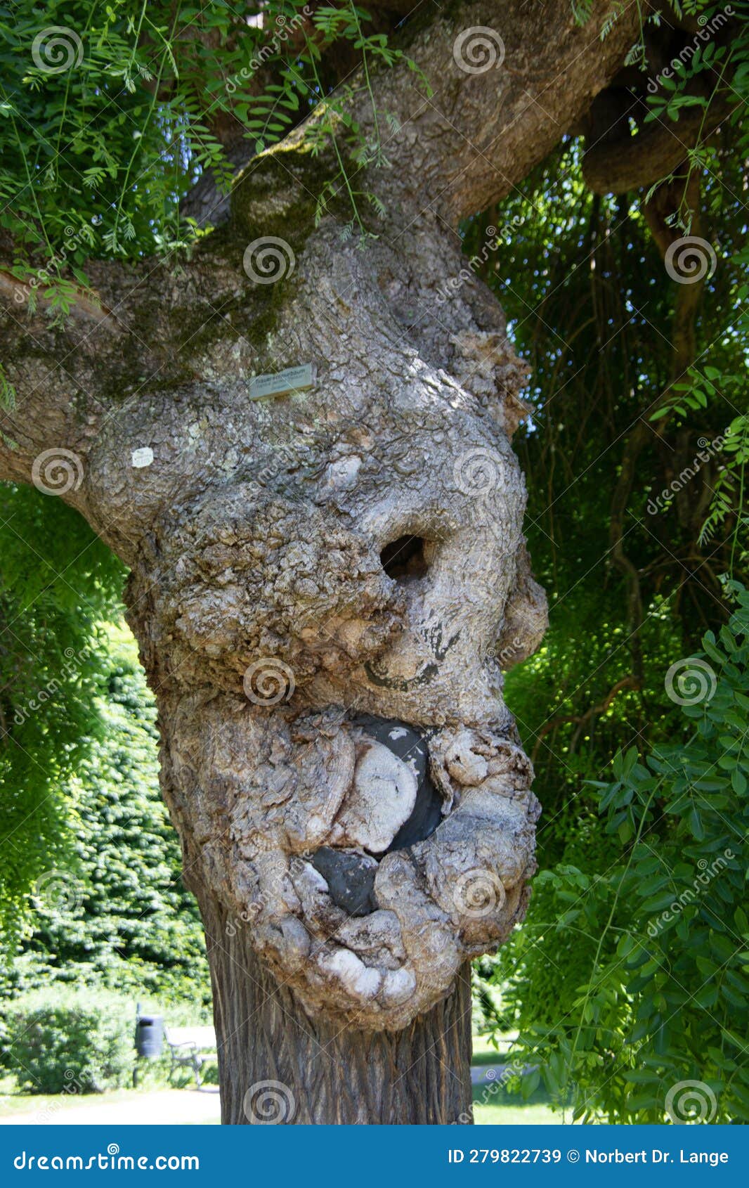 Castle Gracht stock image. Image of erftkreis, north - 279822739