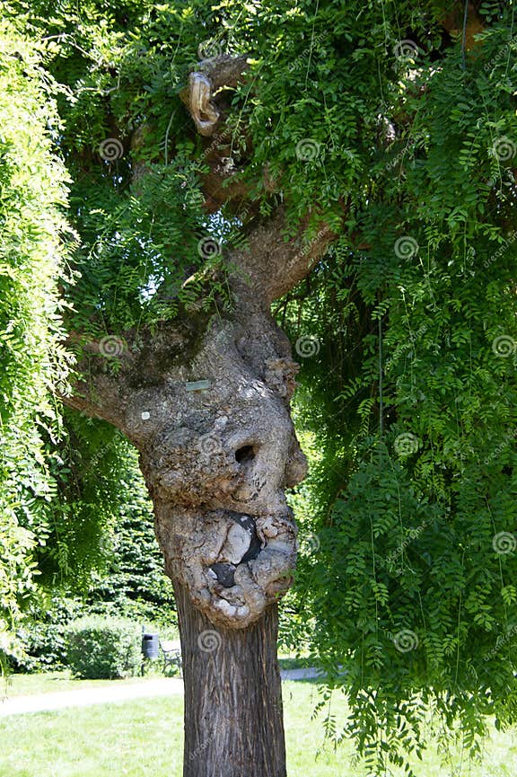 Castle Gracht stock image. Image of impressive, brown - 279822747