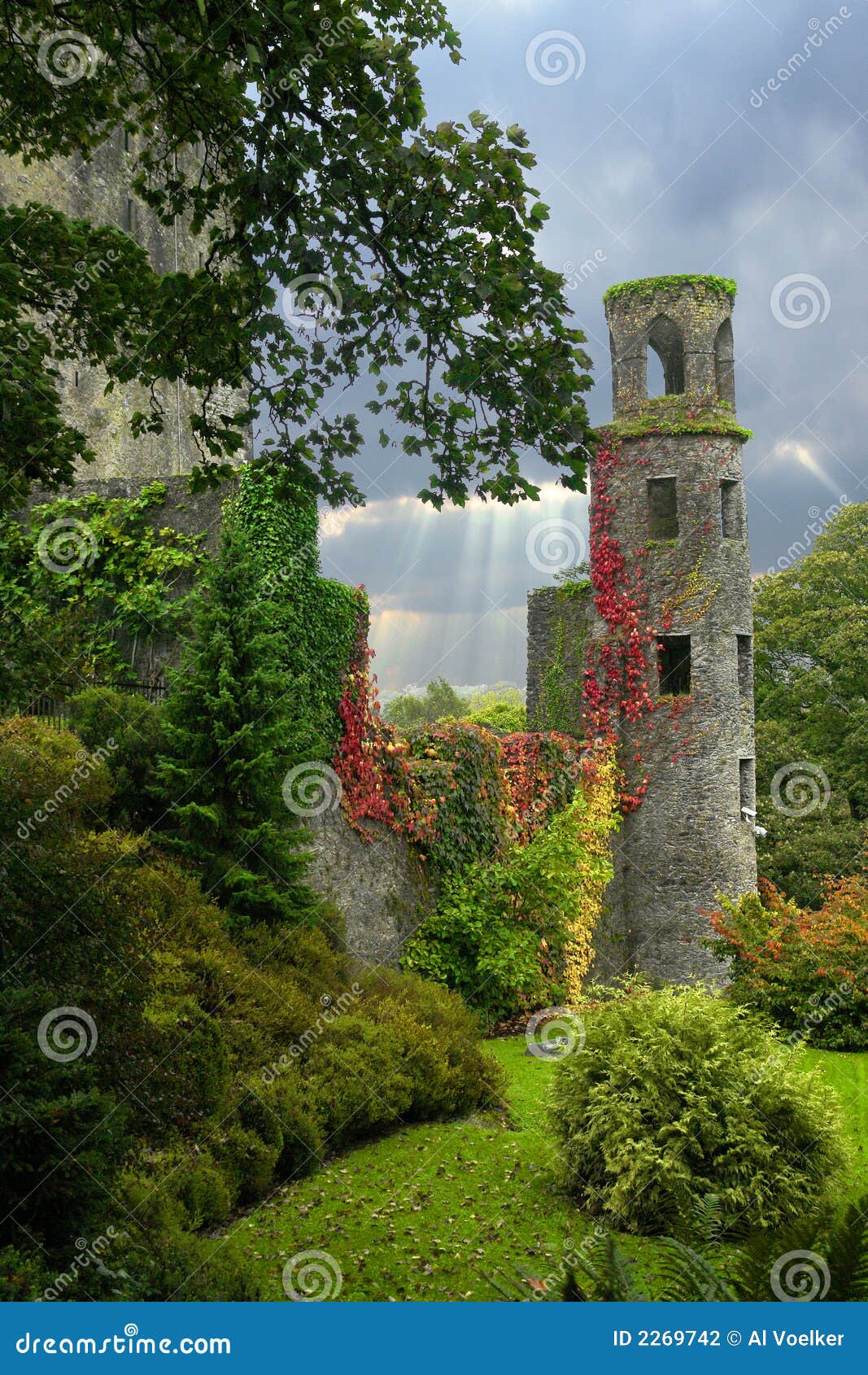 Castle grounds stock photo. Image of blarney, tower, overcast - 2269742