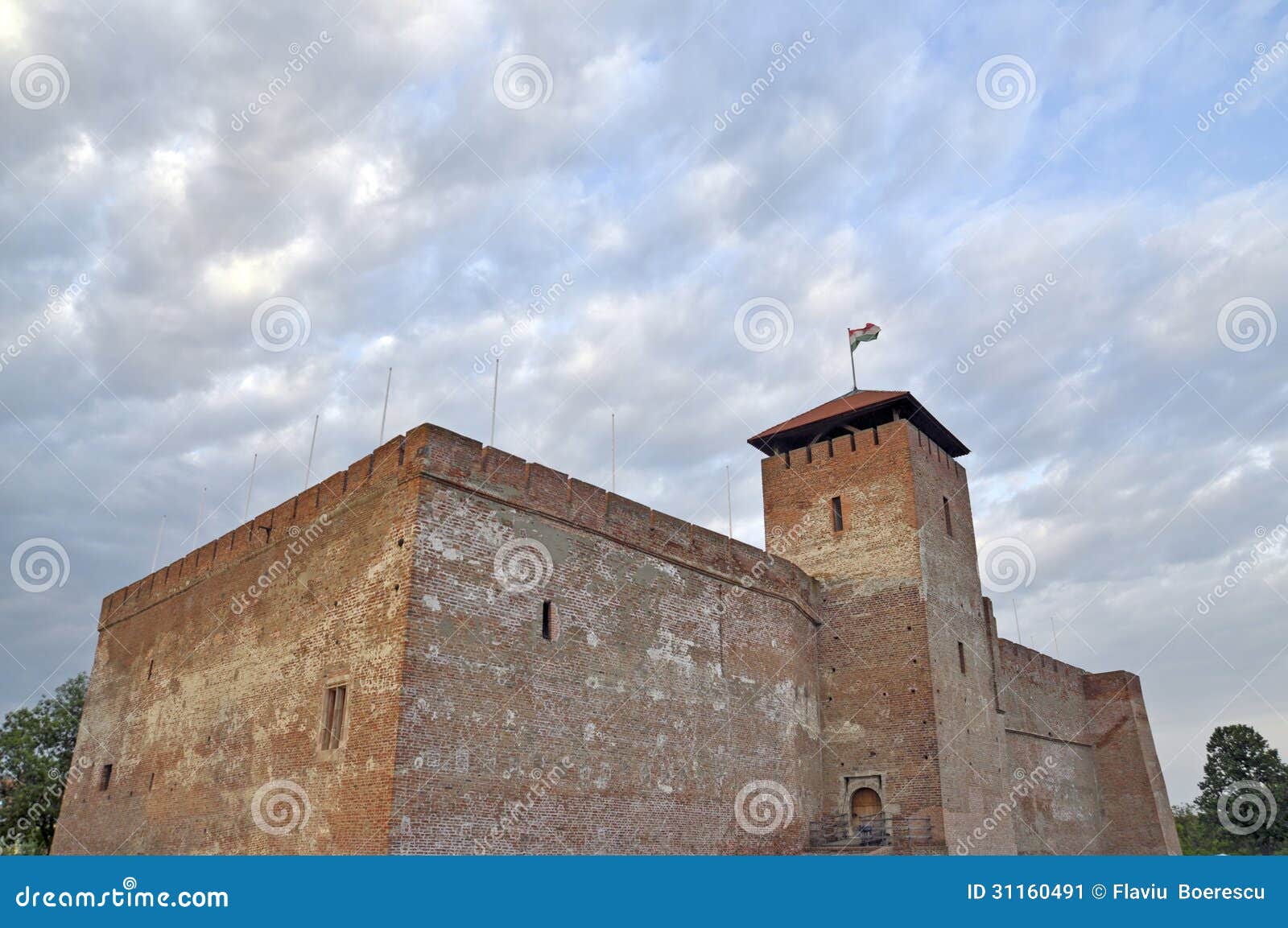 Castle in Gyula Hungary stock image. Image of shield - 31160491