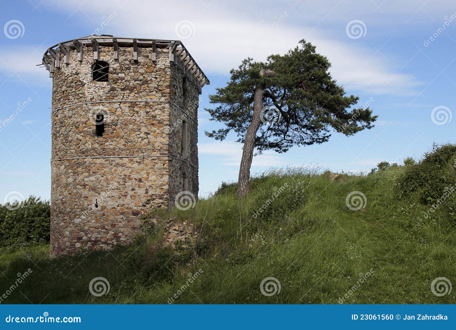 Castle of Hartenstein stock photo. Image of czech, pine - 23061560