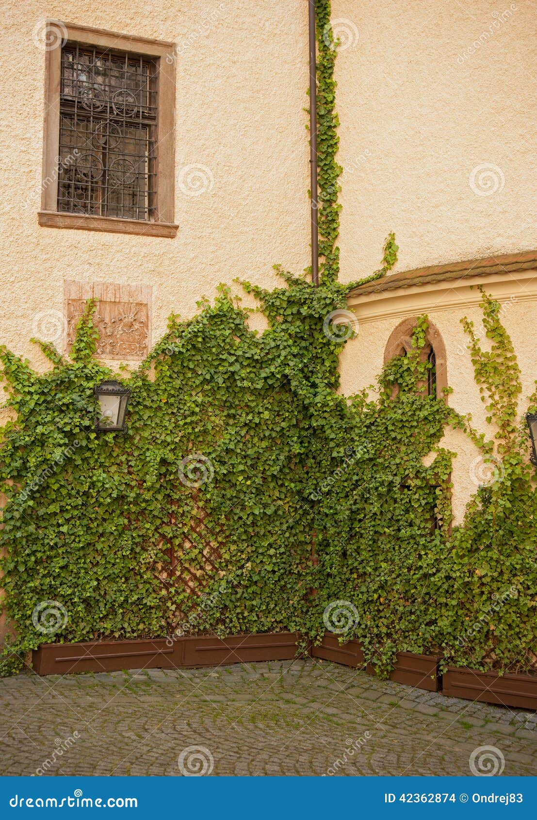 Castle with ivy stock photo. Image of window, spring - 42362874