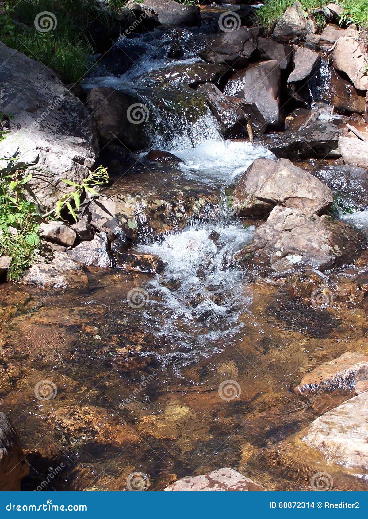 Castle Lake Stream stock photo. Image of mountains, uinta - 80872314