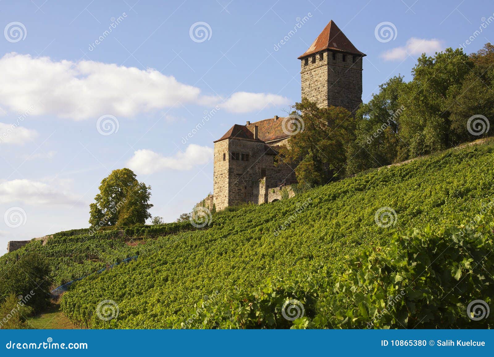 Castle Lichtenberg stock photo. Image of burg, mountain - 10865380