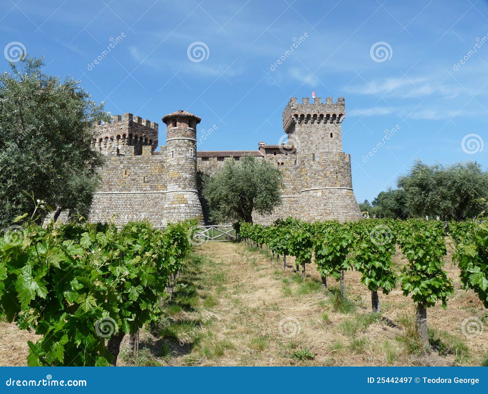Castle in Napa Valley stock image. Image of olive, vineyards - 25442497