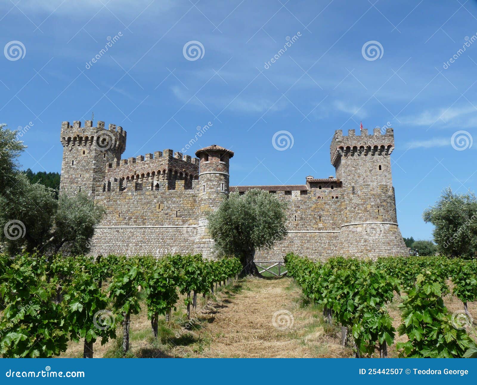 Castle in Napa Valley stock image. Image of castle, plants - 25442507