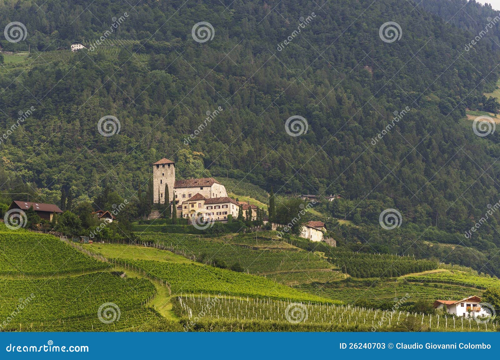 Castle near Merano stock image. Image of architecture - 26240703