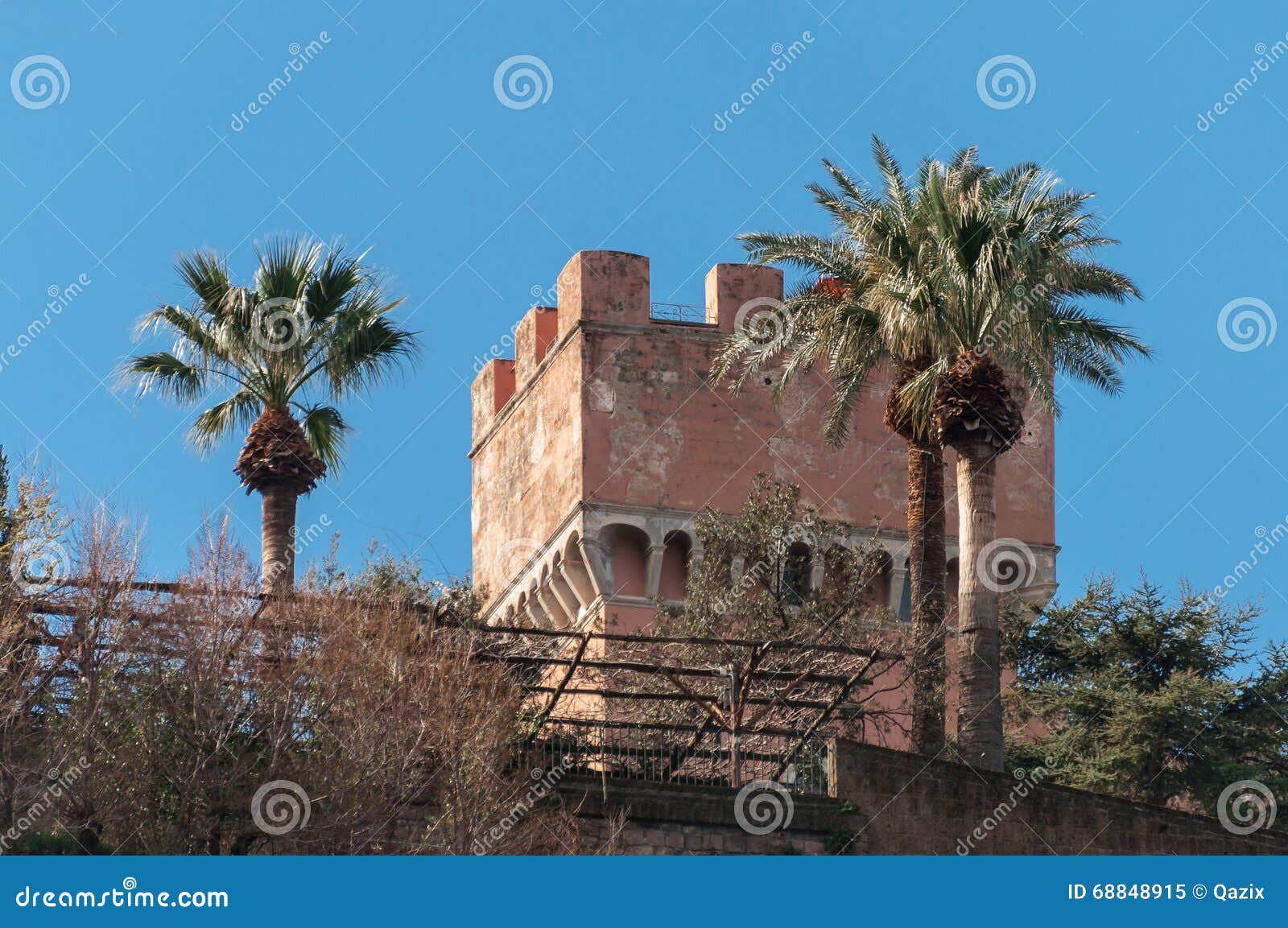Castle And Palm Trees Stock Image | CartoonDealer.com #68848915
