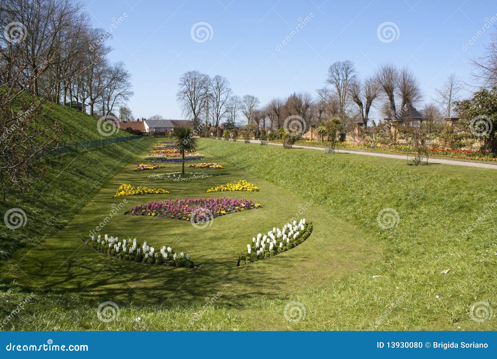 Castle Park in Colchester stock photo. Image of tree - 13930080