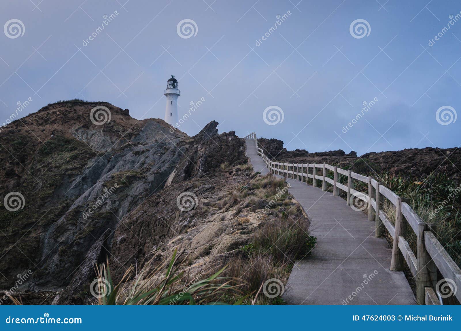 Castle Point Lighthouse, New Zealand Stock Image - Image of destination ...