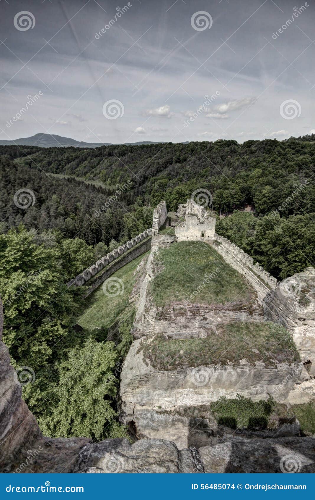 Castle stock photo. Image of grass, walls, forest, lawn - 56485074
