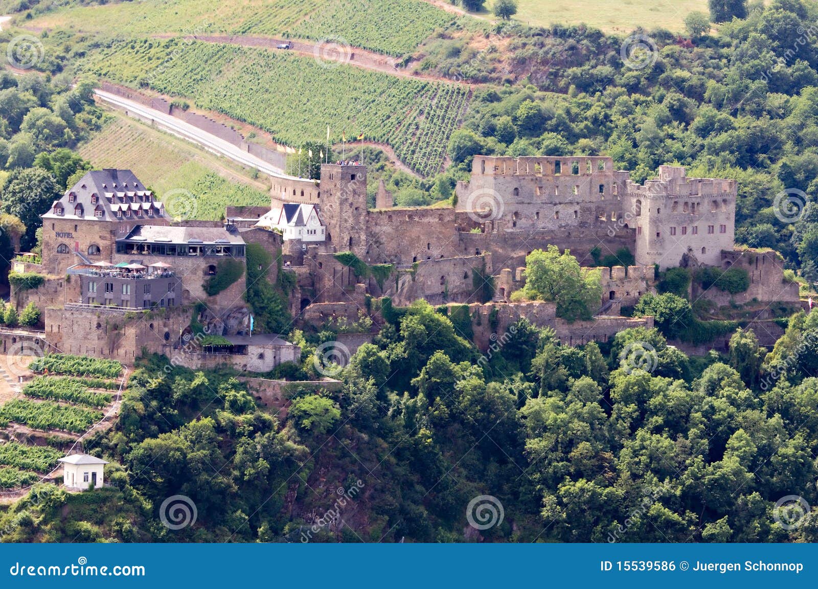 Castle Rheinfels in the Rhine Valley Stock Photo - Image of vineyard ...