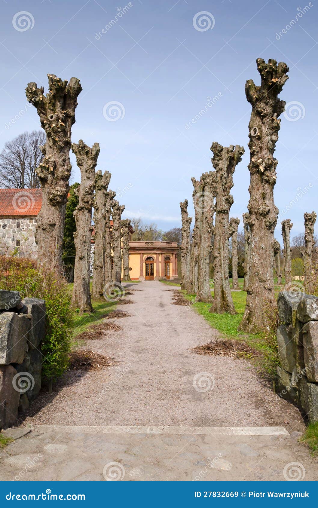 Castle Road with Tree Trunks Stock Image - Image of park, historic ...