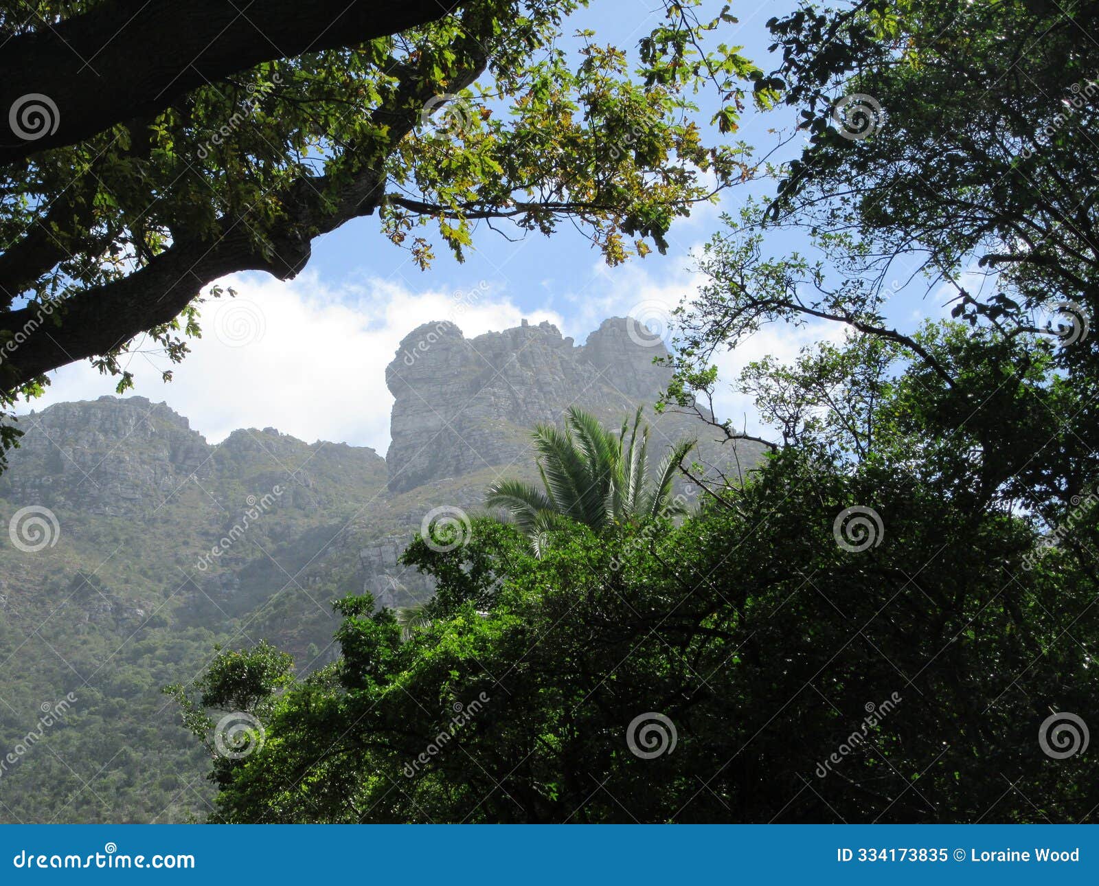 Castle Rock Table Mountain Range in Cape Town SA Stock Image - Image of ...