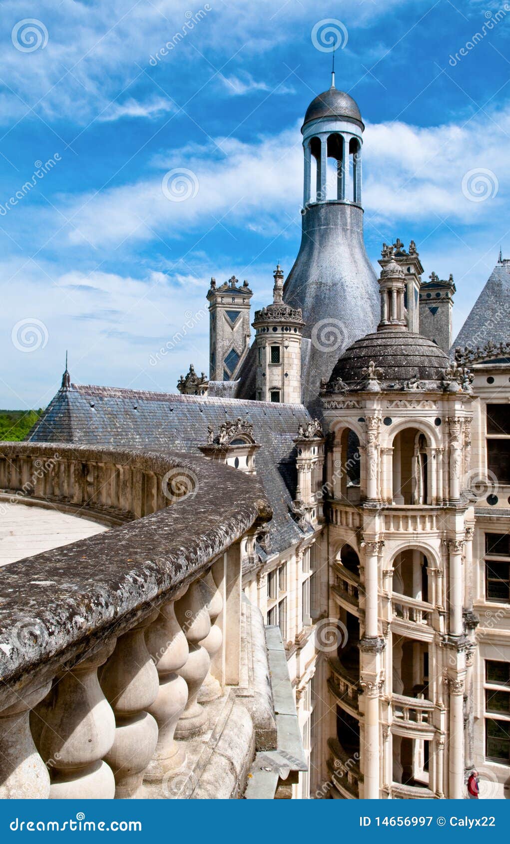 On the Castle Roof stock image. Image of domes, french - 14656997