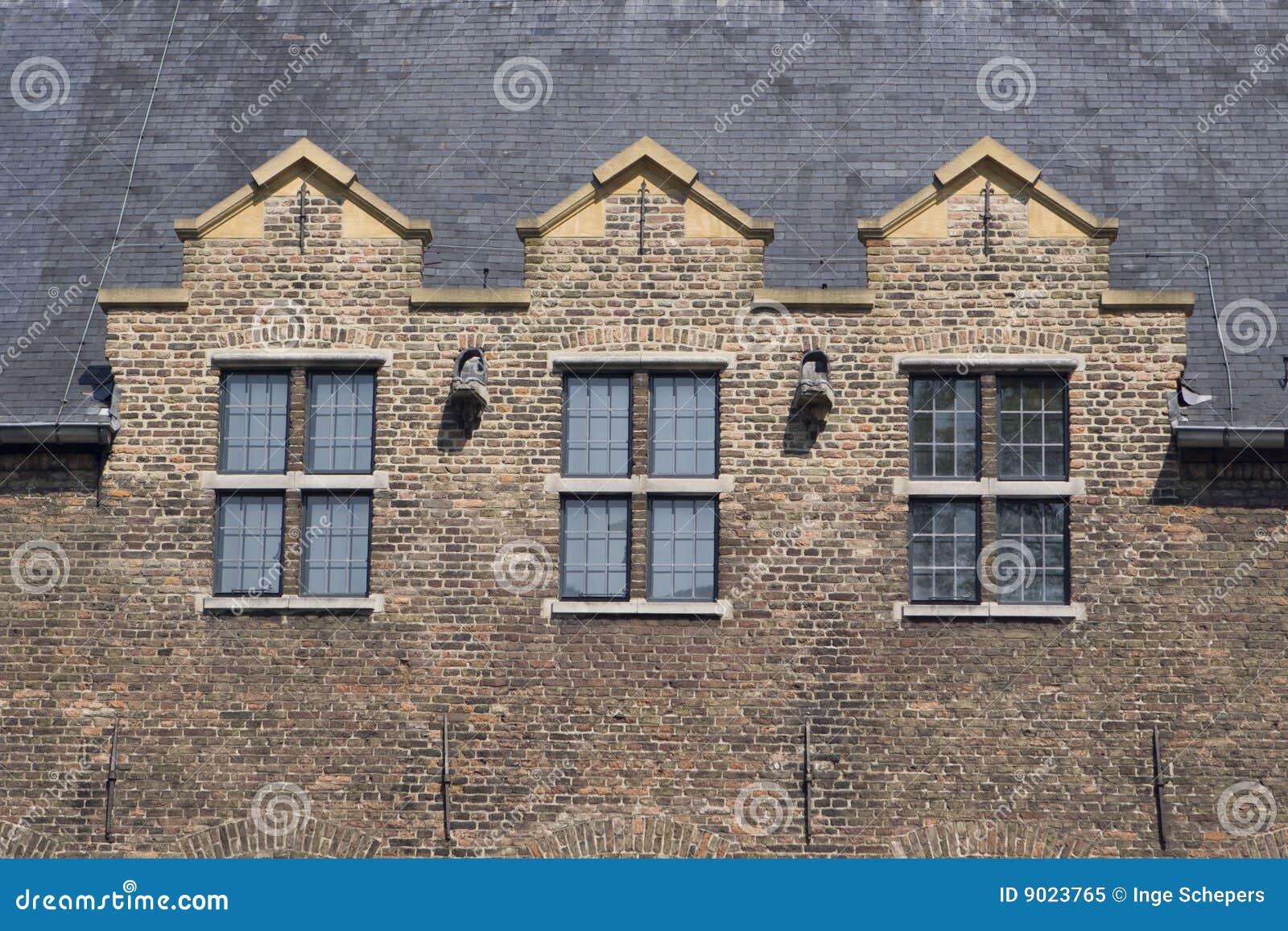 Castle Roof and Windows stock image. Image of medieval - 9023765