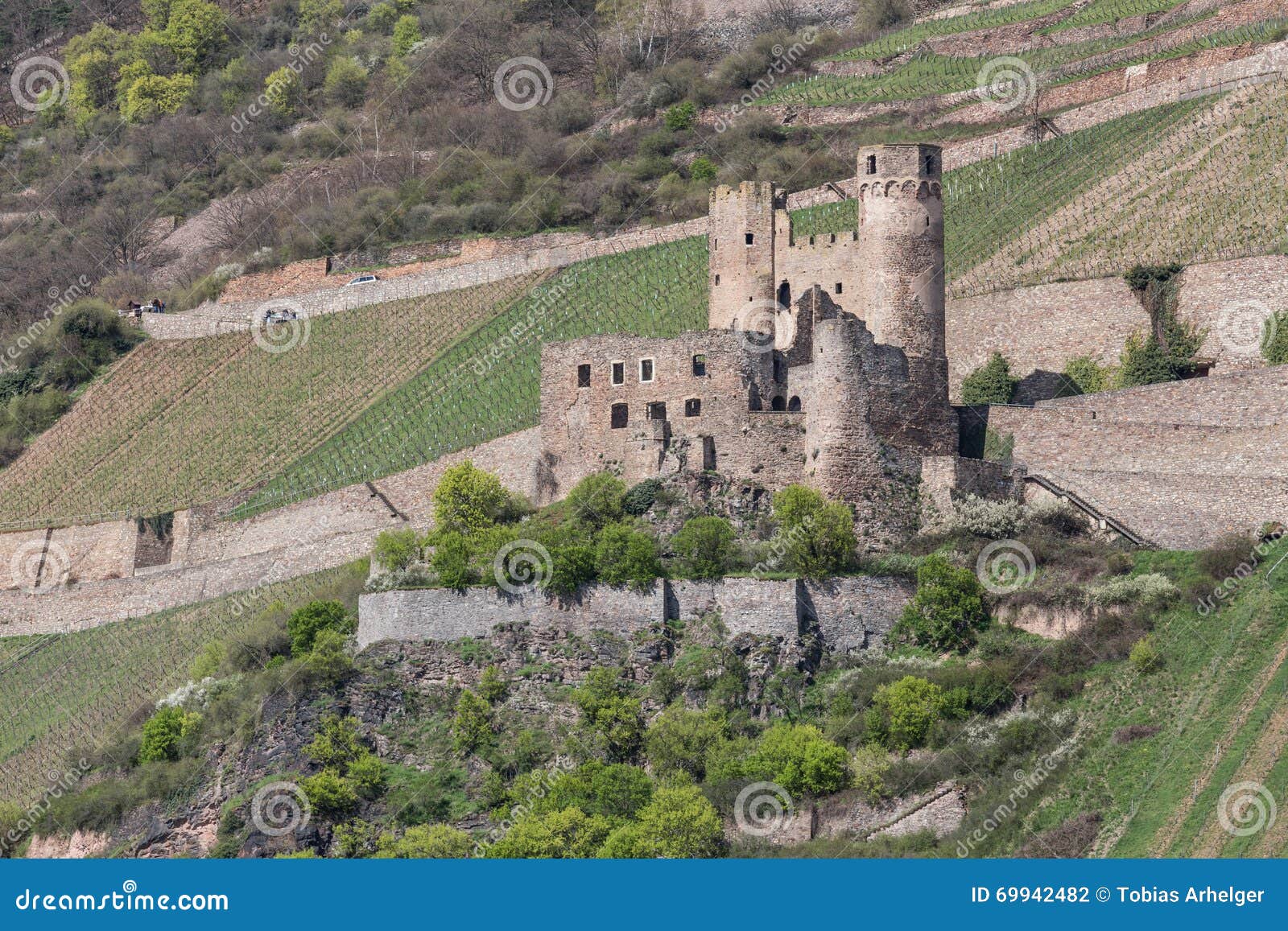 Castle Ruin Ehrenfels Bingen Germany Stock Photo - Image of history ...