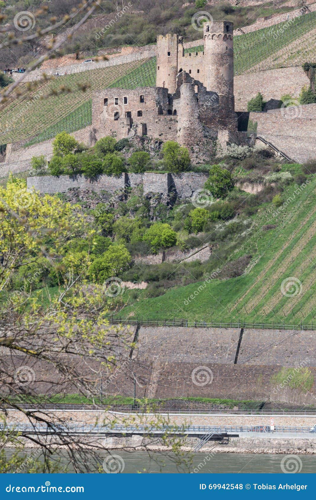 Castle Ruin Ehrenfels Bingen Germany Stock Photo - Image of building ...
