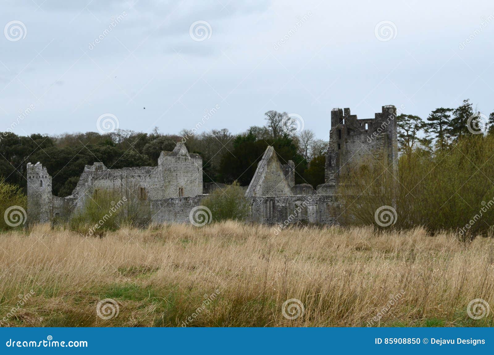 Castle Ruins in the Countryside of Ireland Stock Photo - Image of ...