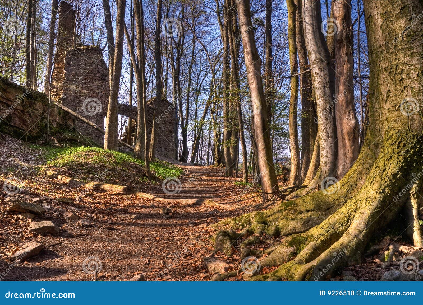 Castle ruins in the forest stock photo. Image of blue - 9226518