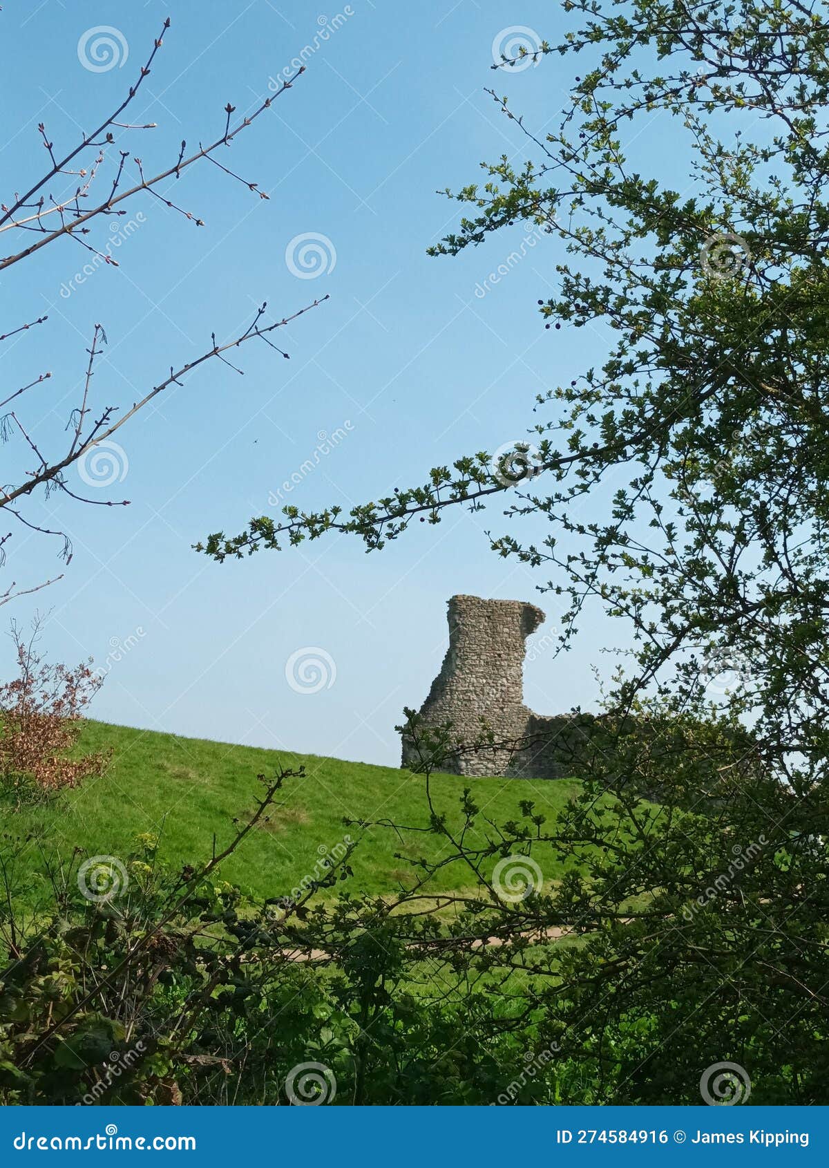 Castle ruins in landscape stock photo. Image of meadow - 274584916