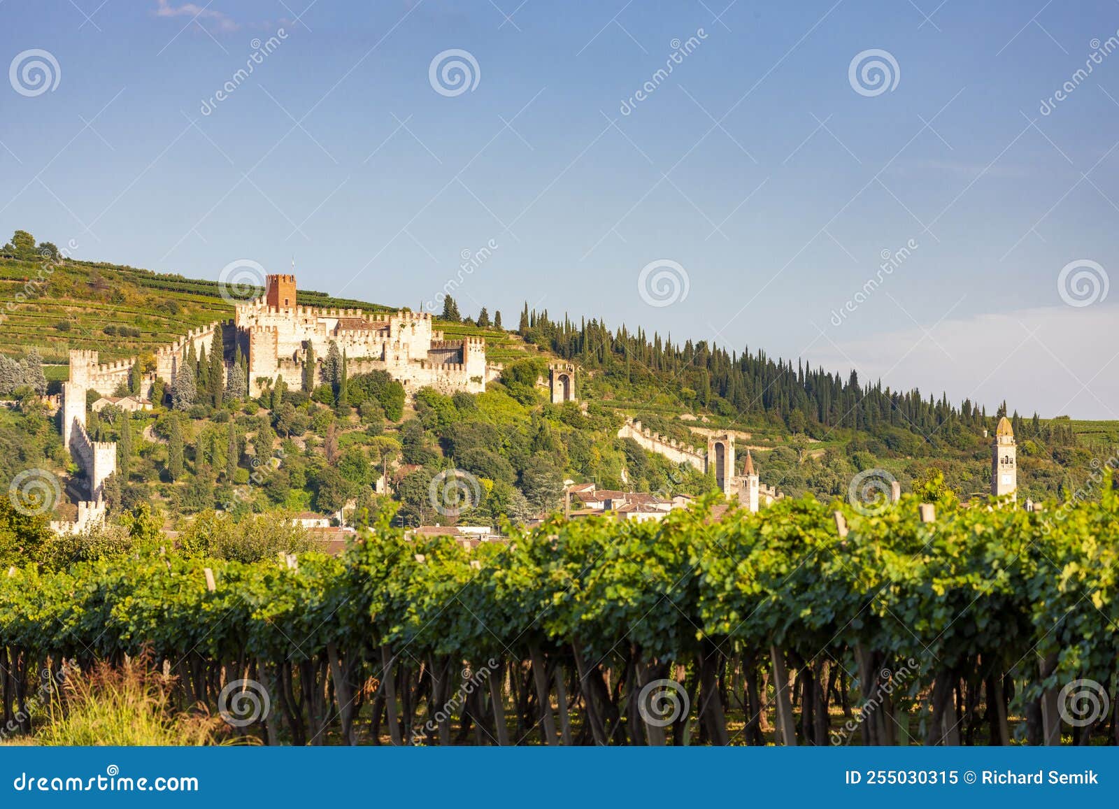 Castle Soave in Veneto, Italy Stock Image - Image of countryside, plant ...