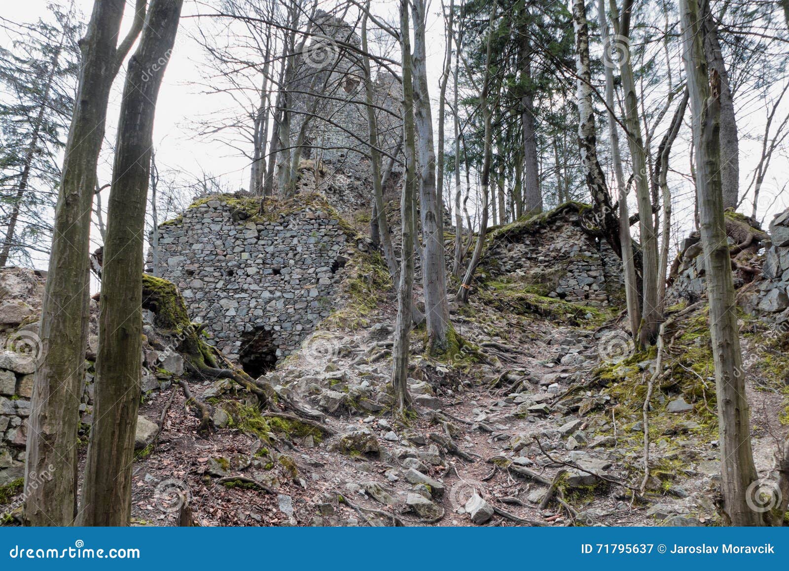 Castle STARY HRAD, Slovakia Stock Image - Image of slovakia, medieval ...