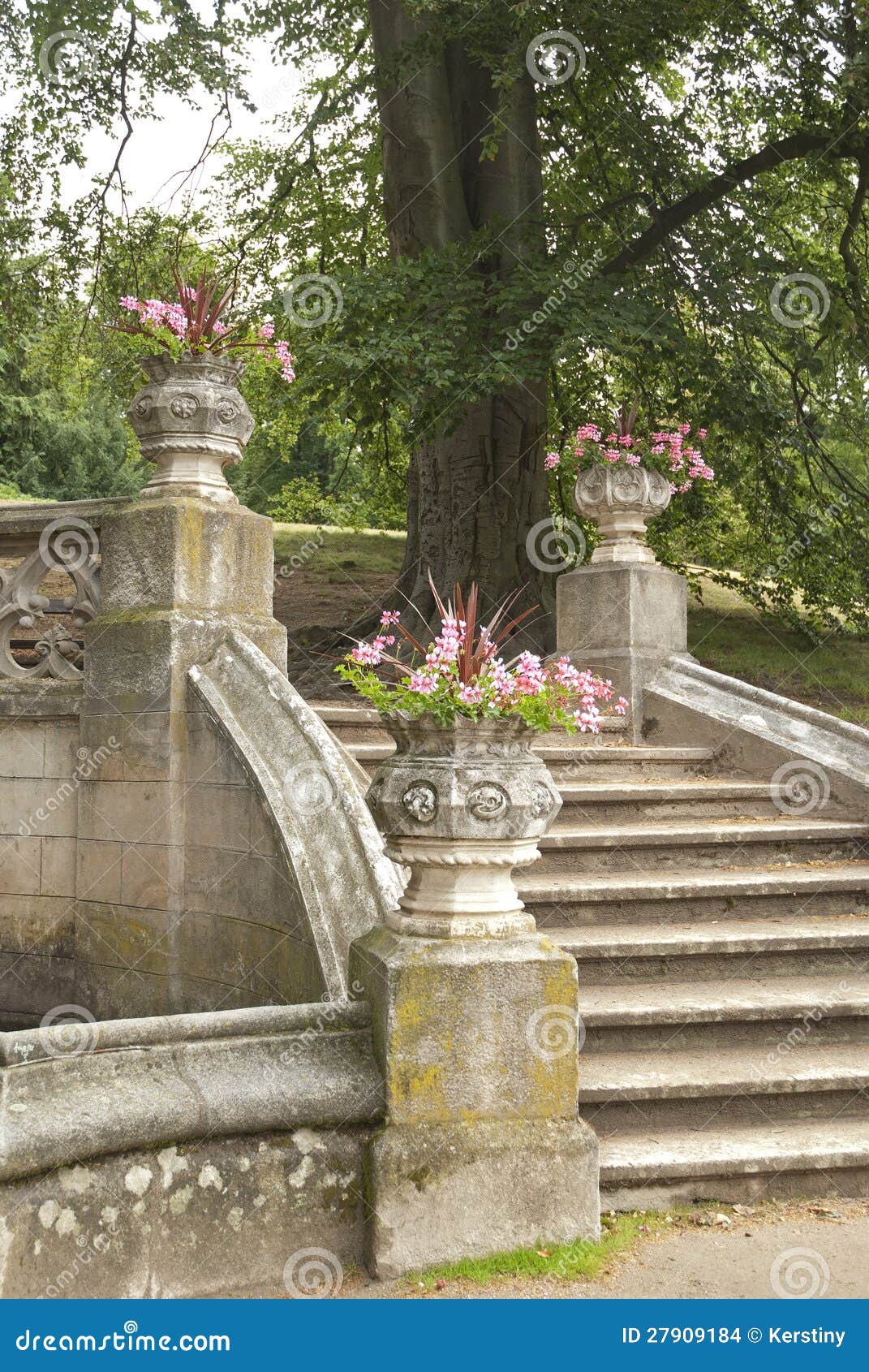 Castle steps stock photo. Image of outside, statue, flower - 27909184