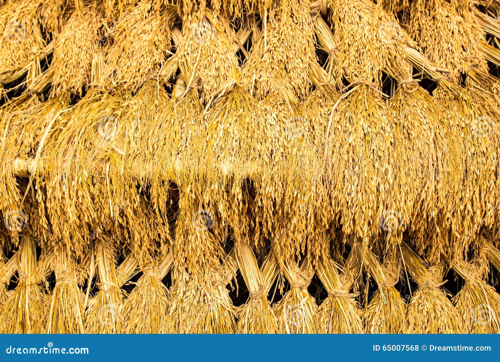 Castle straw stock photo. Image of house, spike, straw - 65007568