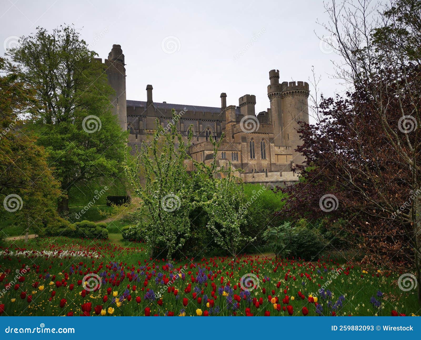 Castle Surrounded by Trees and Flowers Stock Image - Image of building ...