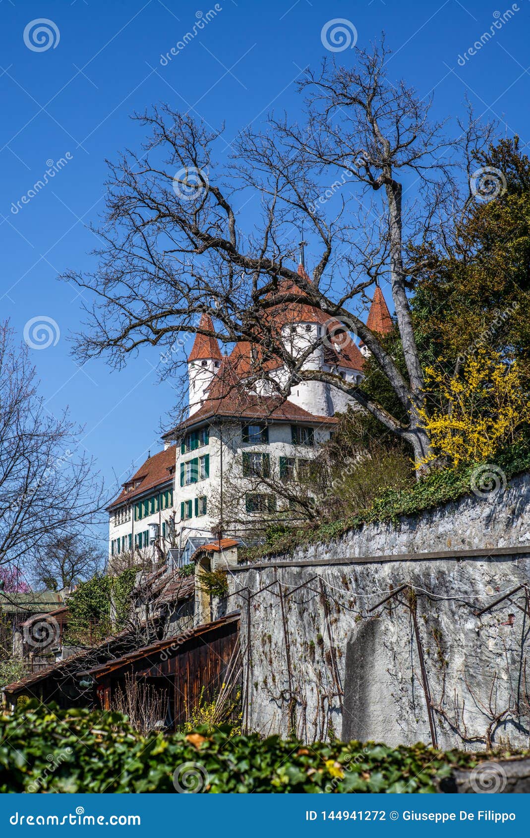 The Castle of Thun at the Very Beginning of Spring in the Early Morning ...