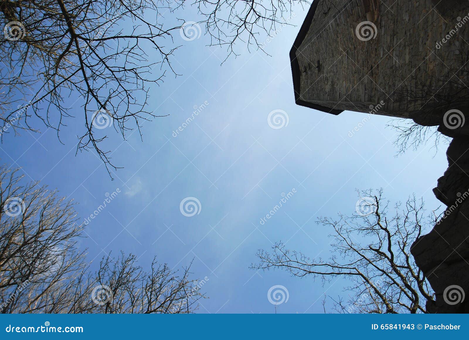 Castle Tower, Bottom View, Vista Trees Stock Image - Image of tower ...