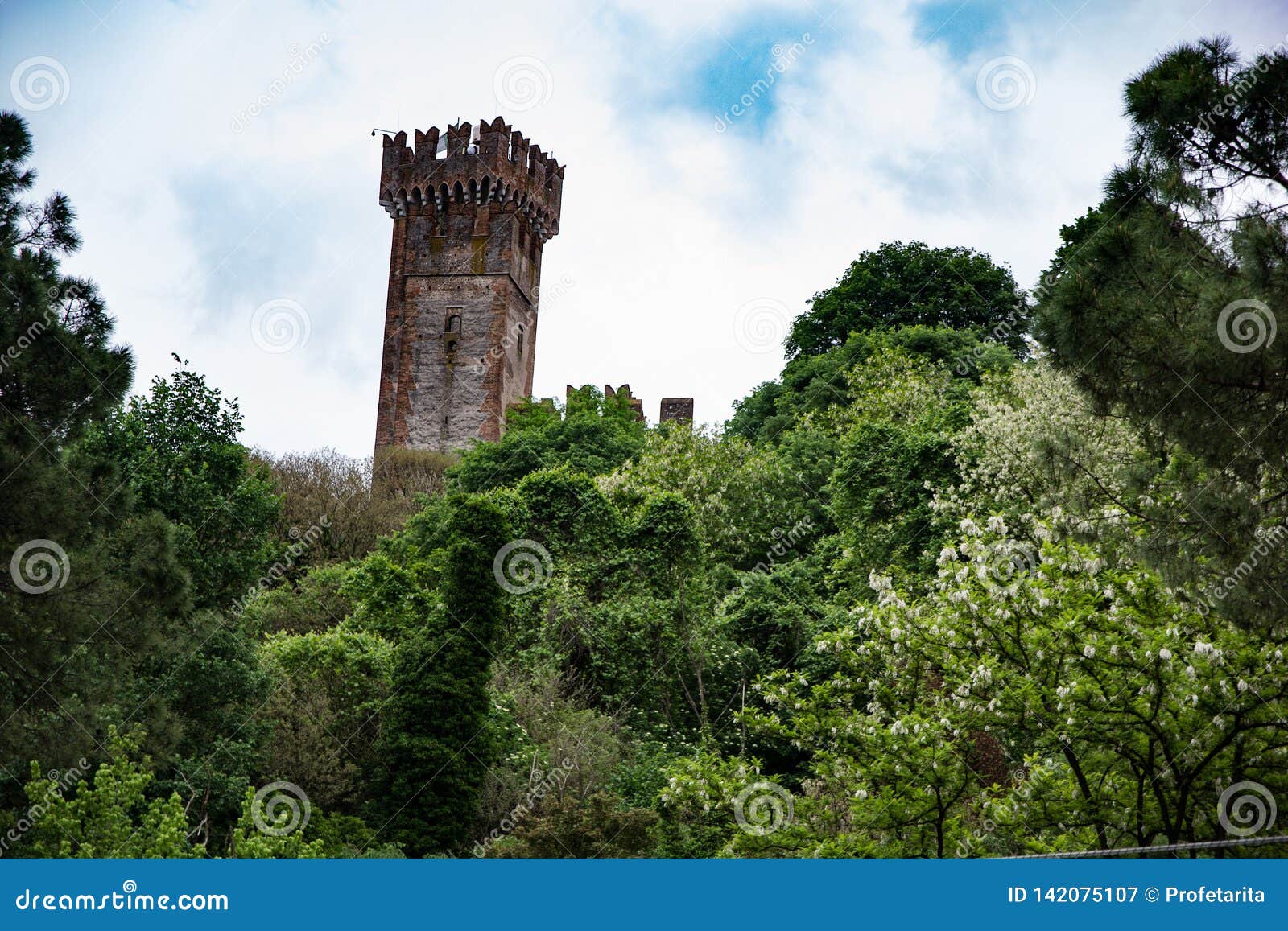 CASTLE TOWER between VEGETATION Stock Image - Image of castle ...