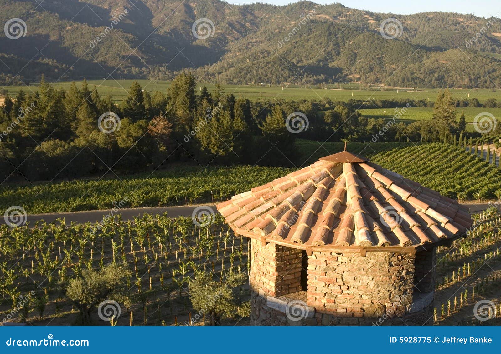 Castle tower and vineyard stock image. Image of hills - 5928775